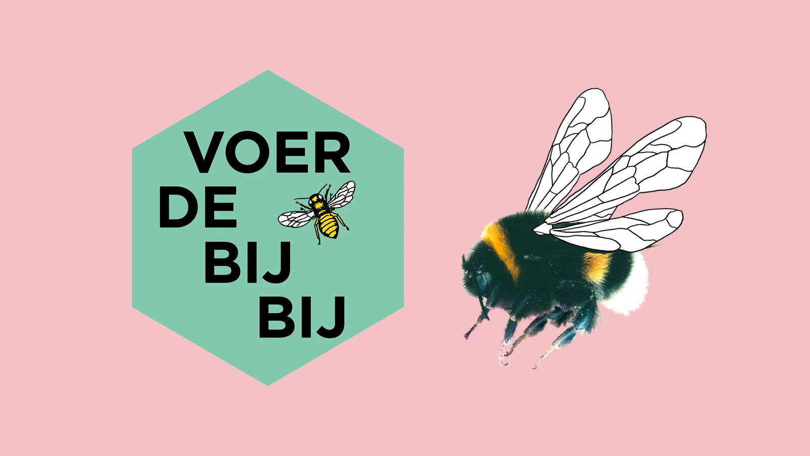 Voer de Bij Bij